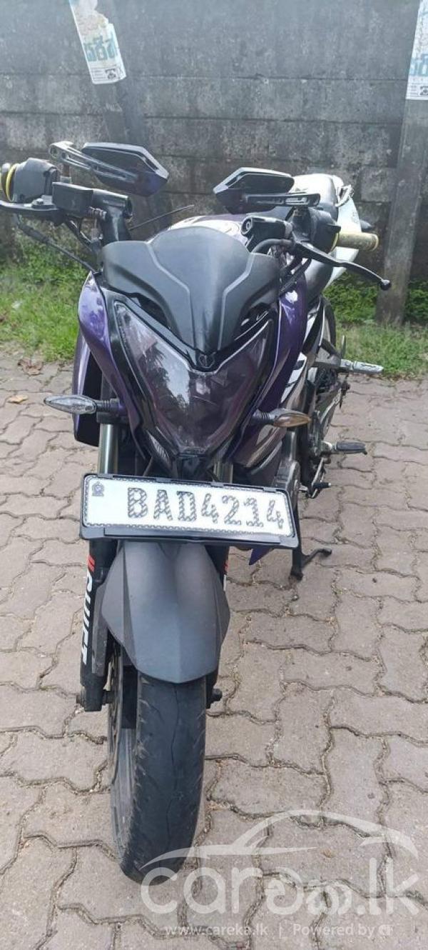 BAJAJ PULSAR NS200 2013 | Careka.lk
